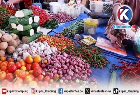Kupas Tuntas - H-8 Ramadan, Harga Cabai Caplak di Pasar Kalianda Lamsel Capai Rp 70 Ribu per Kg