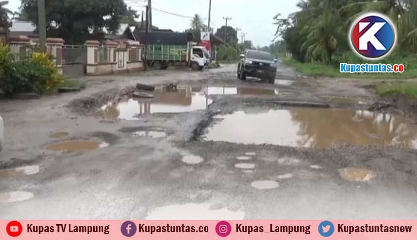 Kupas Tuntas - 10 Tahun Jalan Provinsi di Rumbia Lamteng Rusak Berat ... Kupas Tuntas - 10 Tahun Jalan Provinsi di Rumbia Lamteng Rusak Berat ...