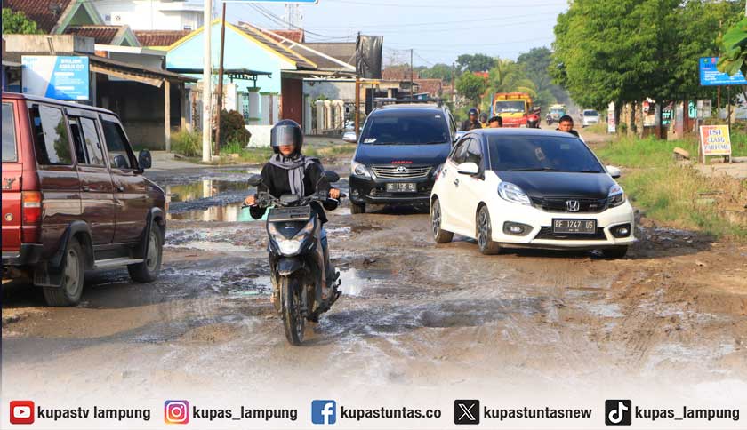 Kupas Tuntas - 270,214 Km Jalan Provinsi Lampung Diperbaiki Tahun 2024