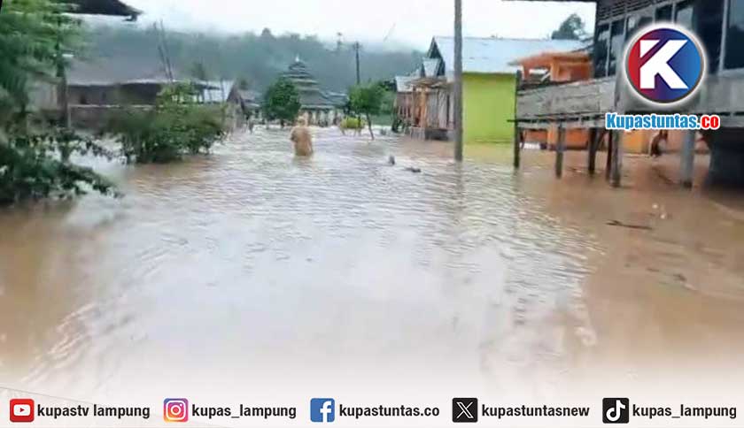 Kupas Tuntas - Hujan Deras, Puluhan Rumah di BNS Lampung Barat Terendam ... Kupas Tuntas - Hujan Deras, Puluhan Rumah di BNS Lampung Barat Terendam ...