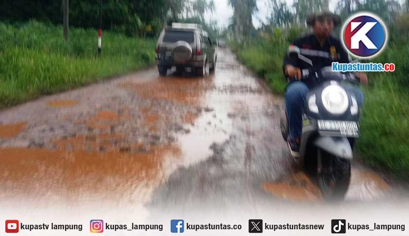Kupas Tuntas - Jalan Penghubung Desa di Lampung Timur Rusak Bertahun-Tahun Kupas Tuntas - Jalan Penghubung Desa di Lampung Timur Rusak Bertahun-Tahun