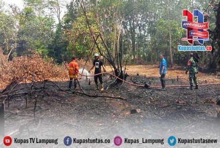 Kupas Tuntas - 700 Meter Persegi Lahan Pekarangan di Metro Pusat ...