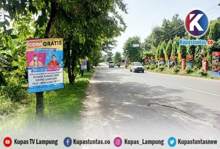 Kupas Tuntas - Atribut Iklan Dipaku di Pohon Hiasi Jalanan Kota Metro