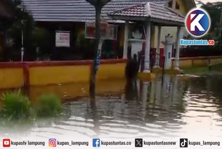 Kupas Tuntas - BPBD Lamsel: 21 Rumah Terdampak Banjir di Suak