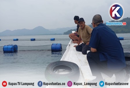 Kupas Tuntas - BPN Lampung Cek Jaring Laut Milik Marriott Resort & Spa ...