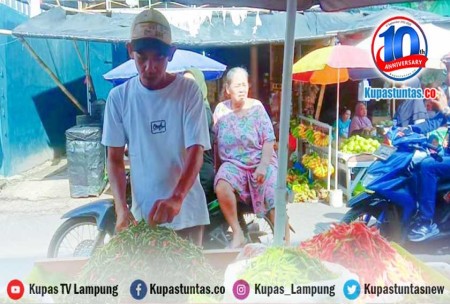 Kupas Tuntas - Dampak Kenaikan BBM, Harga Cabai Hingga Tarif Angkutan di Metro Meningkat