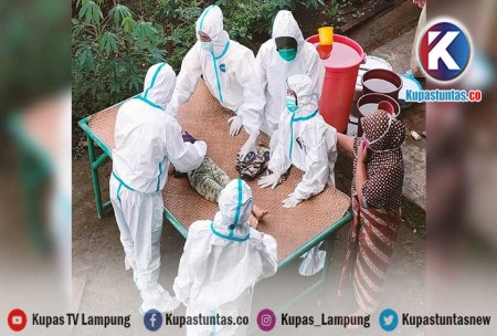 Kupas Tuntas - Diduga Terinfeksi Virus Difteri, Bocah 9 Tahun di Lambar ...