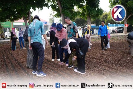 Kupas Tuntas - DWP Unila Gelar Lomba Menanam Sayuran Wujudkan Ketahanan Pangan Berkelanjutan