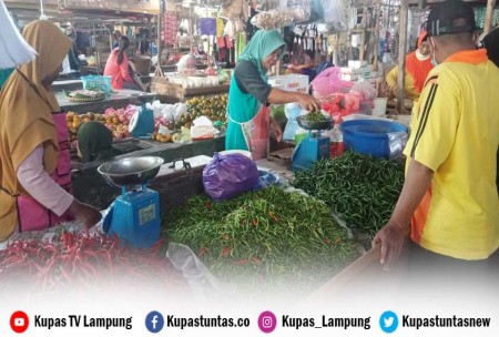 Kupas Tuntas - Harga Cabai Caplak di Pringsewu Makin Pedas! Kini Tembus 100 Ribu Per Kilo