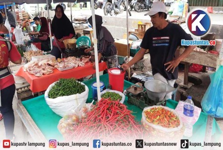 Kupas Tuntas - Harga Cabai di Metro Naik, Disdag Sebut Kenaikan Secara Nasional