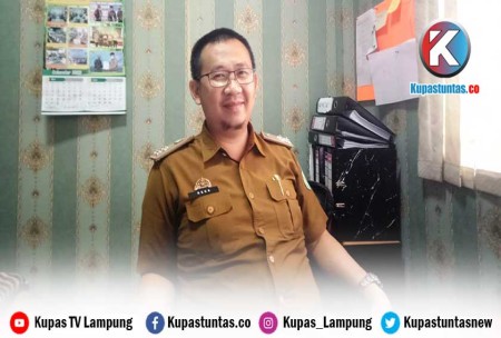 Kupas Tuntas - Harga Cabai Meroket, Begini Tanggapan Diskoperindag Pringsewu