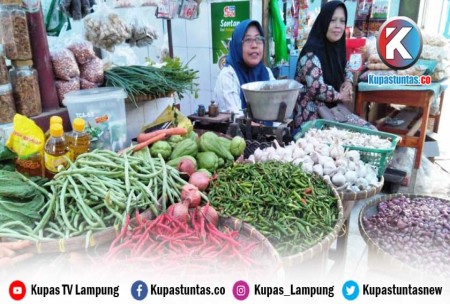 Kupas Tuntas - Harga Cabai Tak Kunjung Turun, Harga Bawang Merah dan Tomat Ikut Naik di Lamtim
