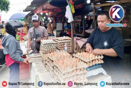 Kupas Tuntas - Ini Penyebab Harga Telur Ayam di Bandar Lampung Melambung Rp 33.000 per Kg