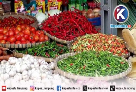 Kupas Tuntas - Jelang Idul Adha, Harga Cabai dan Bawang di Metro Mulai Turun
