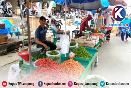 Kupas Tuntas - Jelang Idul Adha, Harga Cabai dan Bawang di Metro Naik