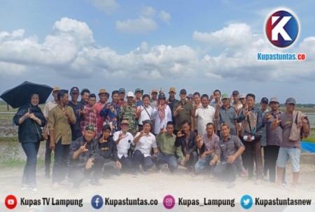 Kupas Tuntas - Kejar Swasembada Pangan, Kementerian Pertanian Lampung Turunkan Pendamping ...