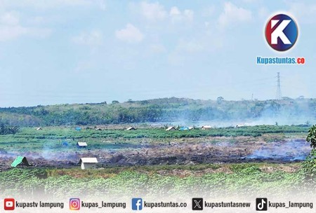 Kupas Tuntas - Konflik Lahan PT SIP di Mesuji, Pj Bupati Tekankan ...