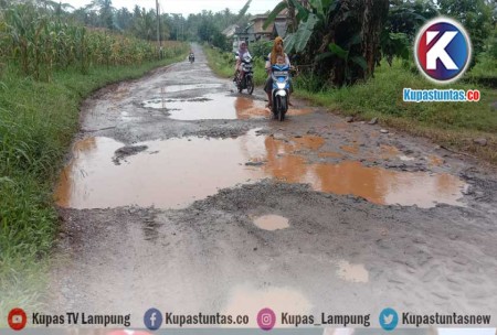 Kupas Tuntas - Lapor Pak Bupati! Banyak Jalan di Matarambaru Lamtim Rusak Parah Bertahun-tahun