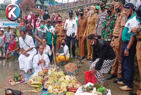 Kupas Tuntas - Masuk Musim Tanam, IP3A Pringsewu Gelar Prosesi 'Mapak Tuyo'