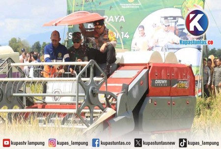 Kupas Tuntas - Panen Raya dan Narasi Ketahanan Pangan, Lampung Tengah Target 1 Juta Ton Gabah di ...