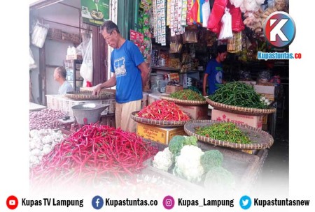 Kupas Tuntas - Pedagang Buka Penyebab Harga Cabai Anjlok