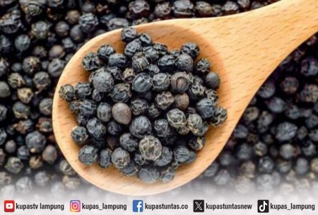 Kupas Tuntas - Pengamat: Oligopsoni Jadi Salah Satu Biang Kerok Harga ...