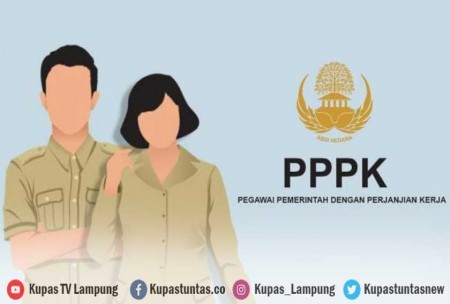 Kupas Tuntas - Pringsewu Regency Will Recruit 1105 Government Employees ...