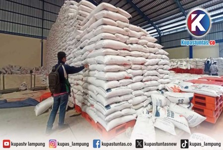 Kupas Tuntas - Stok Gula Bulog Lampung 20,2 Ton, Taufan Akib: untuk ...