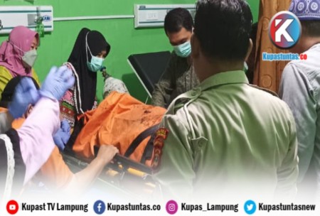 Kupas Tuntas - Tak Kuat Menanjak, Mobil Pick Up Masuk Jurang di Pesibar, Sopir Tewas