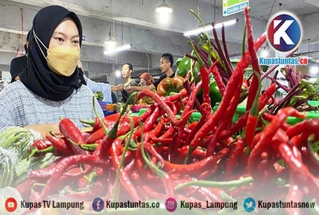 Kupas Tuntas - Tertinggi se-Indonesia, Harga Cabai Merah Besar di Lampung Tembus Rp 82.500 per Kg