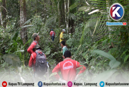 Kupas Tuntas - Tim dari Kebun Raya Liwa Eksplorasi Kaki Gunung Pesagi ...