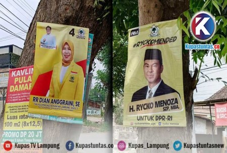 Kupas Tuntas - Warga Bandar Lampung Keluhkan Banner Caleg Mulai Marak ...