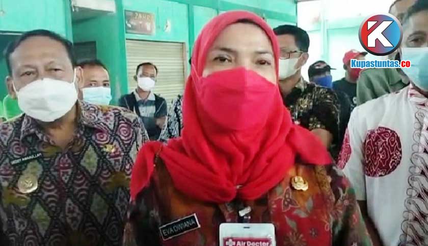 Kupas Tuntas - Pemkot Fasilitasi Pedagang Tanaman dan Ikan Hias di ...