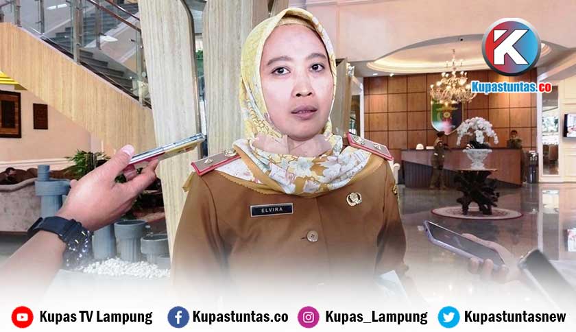 Kupas Tuntas - Pemprov Lampung Siapkan 900 Kilogram Cabai Merah untuk ... Kupas Tuntas - Pemprov Lampung Siapkan 900 Kilogram Cabai Merah untuk ...