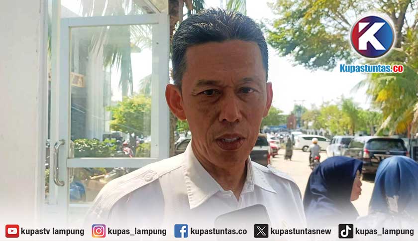 Kupas Tuntas - Tiga Ruas Jalan di Metro Lampung Rawan Pohon Tumbang Kupas Tuntas - Tiga Ruas Jalan di Metro Lampung Rawan Pohon Tumbang